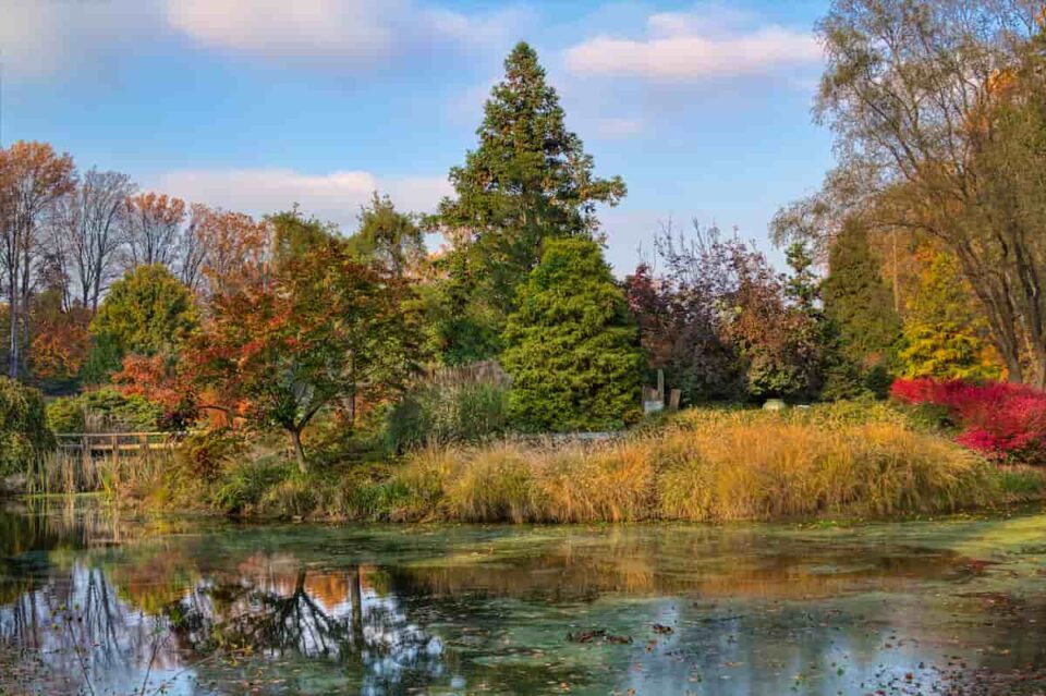 Where to Catch the Best Maryland Fall Foliage - Minneopa Orchards