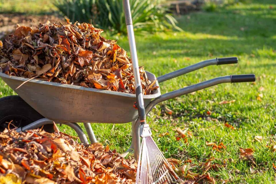 Your October Gardening To-Do List for a Beautiful Garden - Minneopa ...