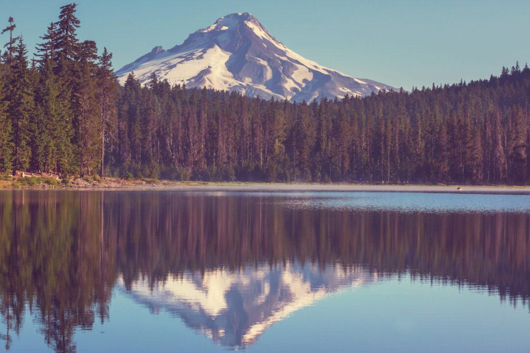 Oregon Fall Foliage: A Photographer’s Paradise - Minneopa Orchards