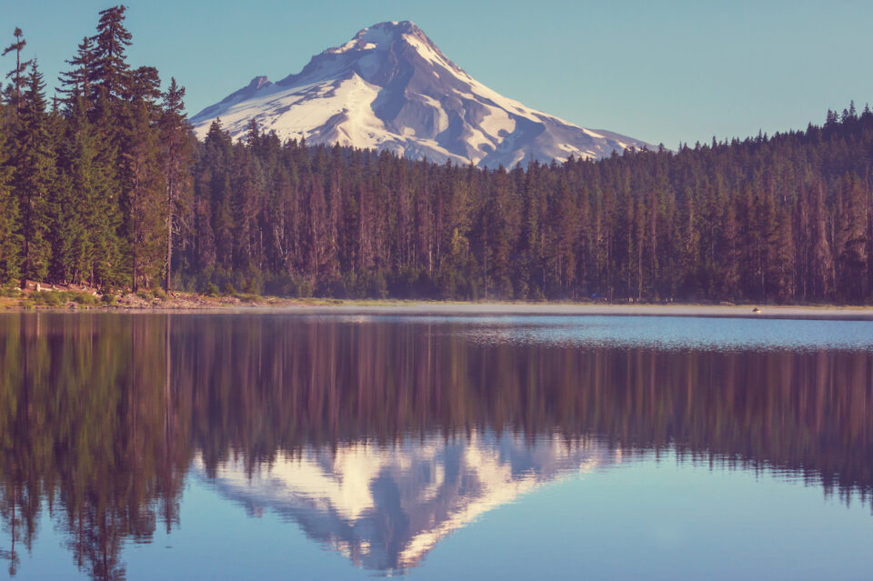 Oregon Fall Foliage: A Photographer’s Paradise - Minneopa Orchards
