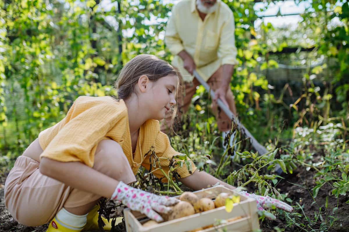 Principles of Sustainable Harvesting in Your Backyard - Minneopa Orchards
