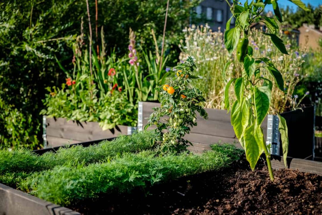 Principles of Sustainable Harvesting in Your Backyard - Minneopa Orchards