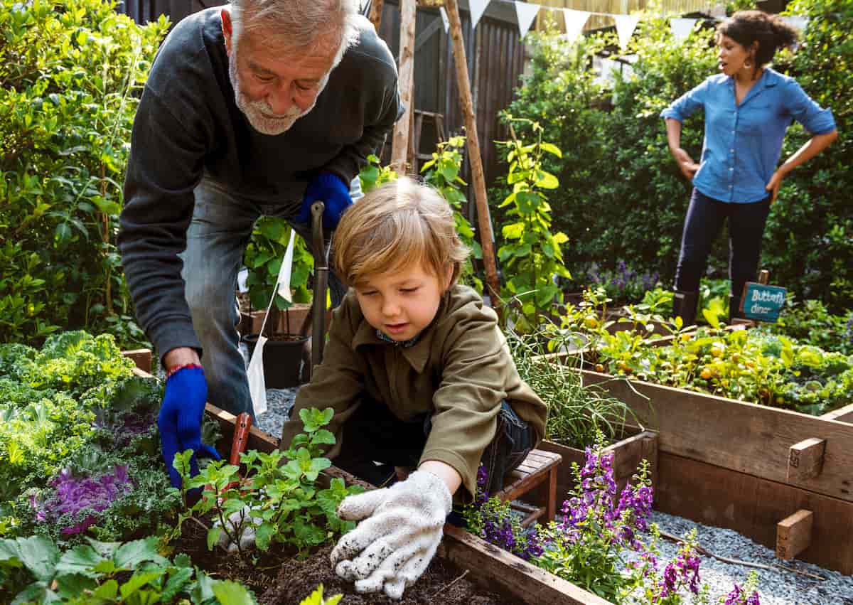 Starting Your First Vegetable Garden: A Beginner's Guide - Minneopa ...
